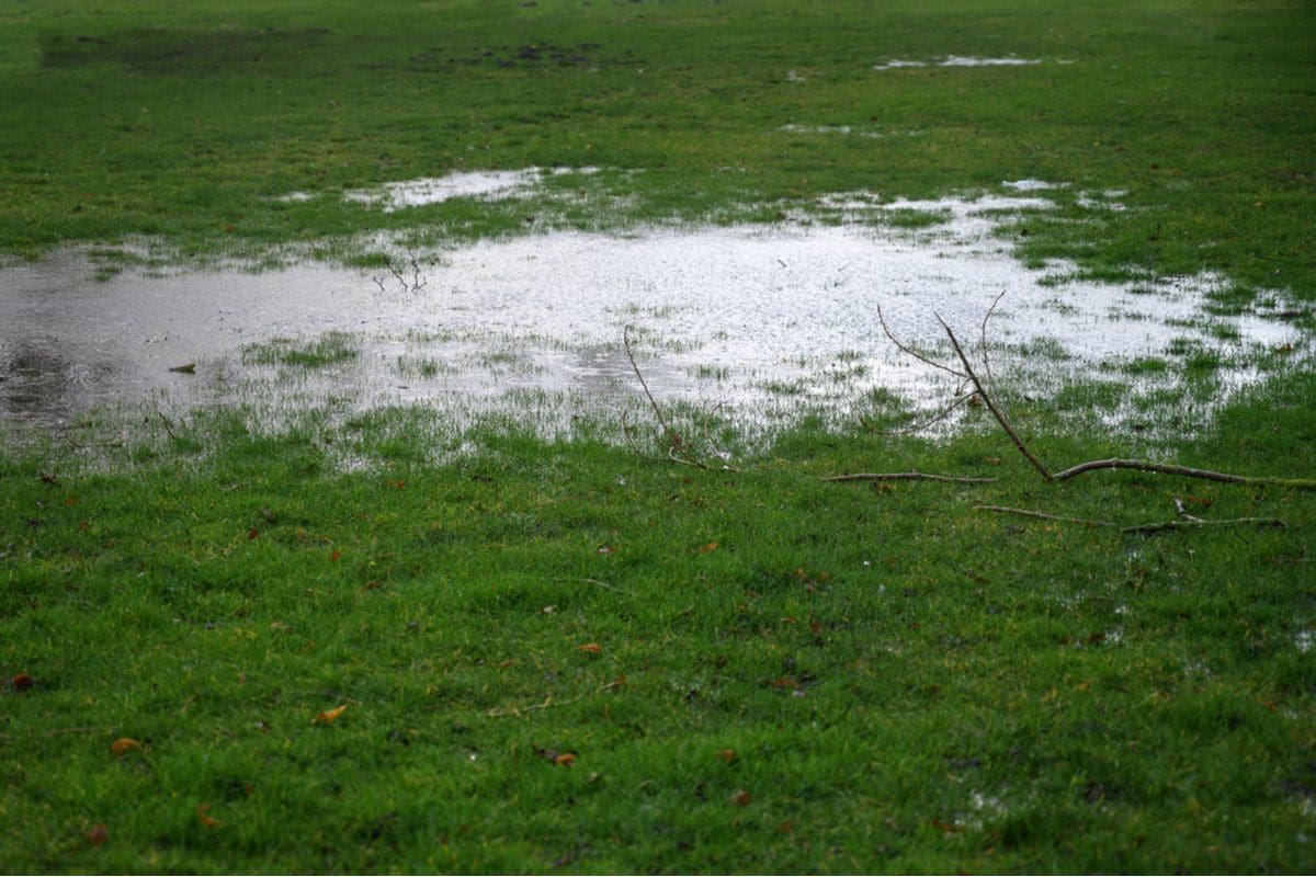 Standing Water On Your Lawn And The Possible Causes